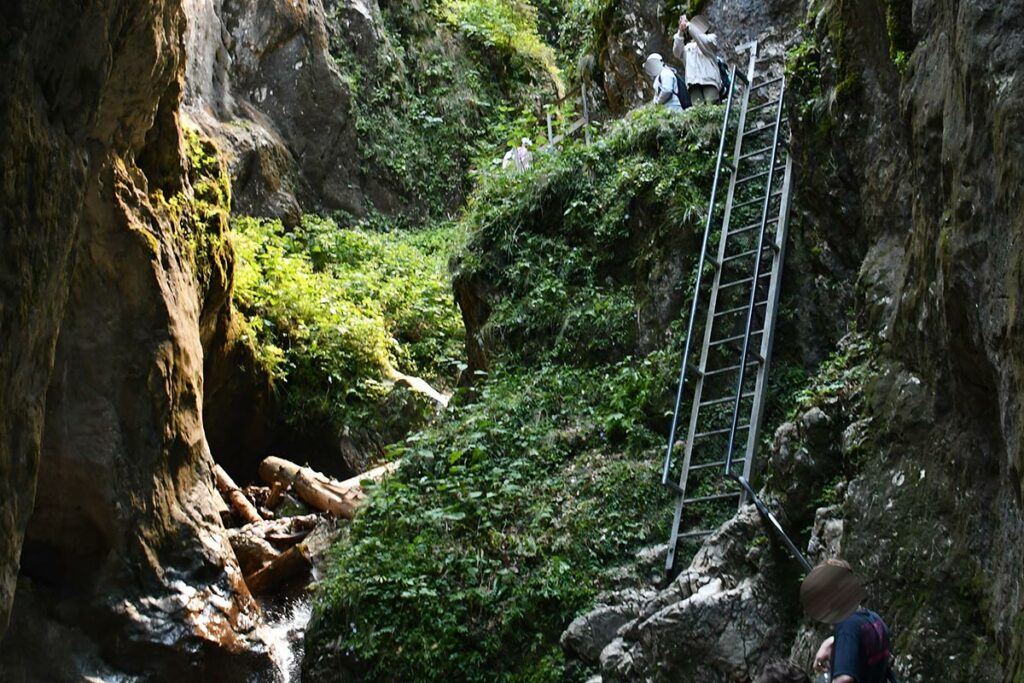 Beautiful gorge Sapte Scari (Seven Ladders) | Brasov | UiR News by ...